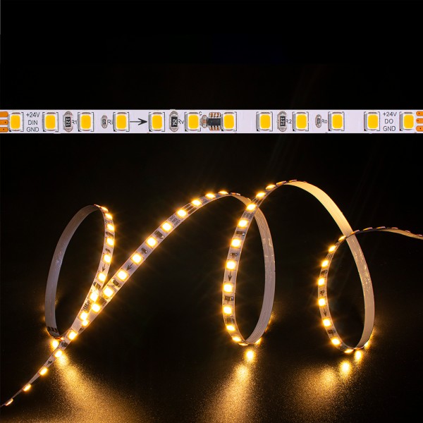 DC24V 10mm FM1903 10pixel 120led 2835 white color running water pixel ...